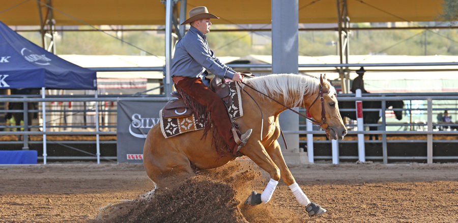 What is Reining? – Preston Kent Reining