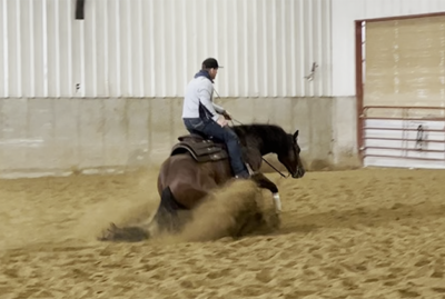 Reining Horses For Sale – Preston Kent Reining