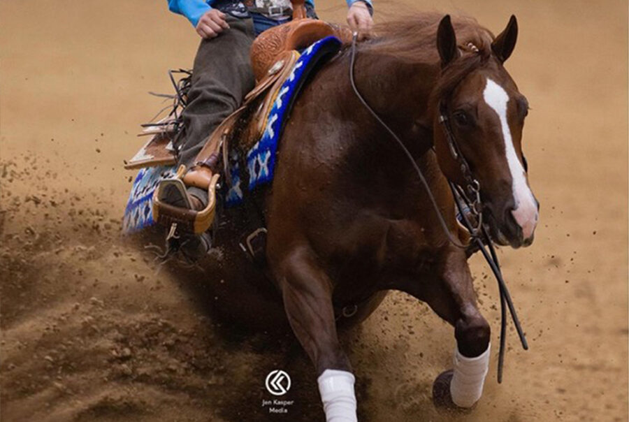 Reining Horses For Sale – Preston Kent Reining